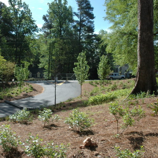 Woodlands Garden | In every season, a place of cultivated and natural ...